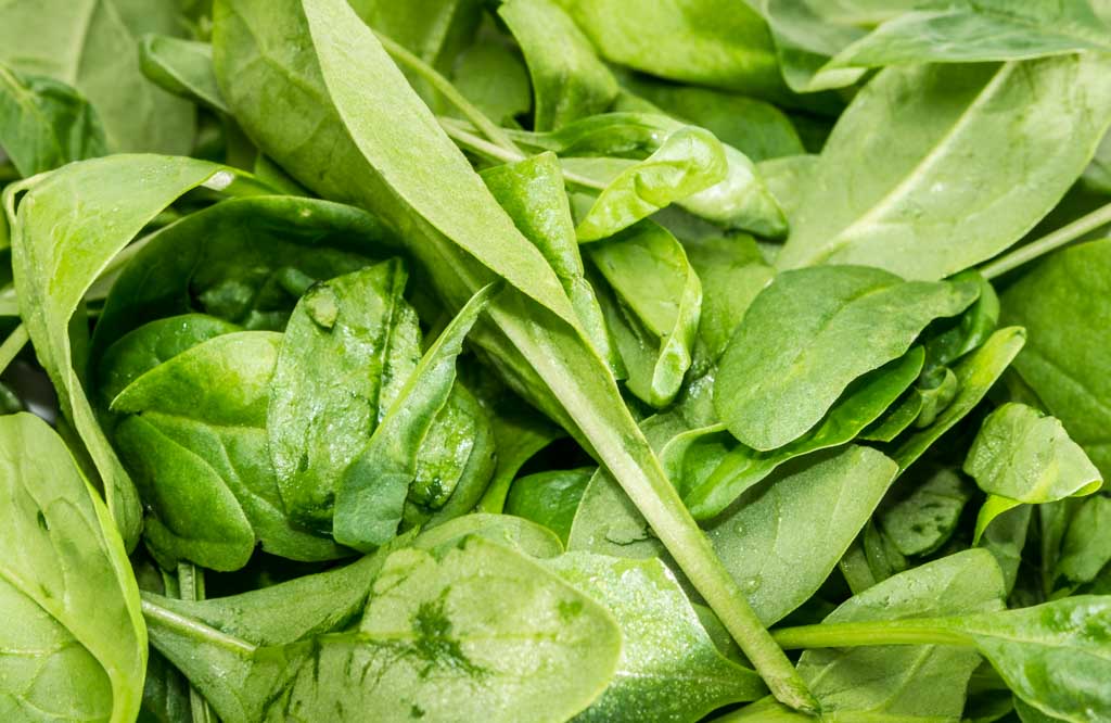 Tag des frischen Spinats - Fresh Spinach Day USA - 16. Juli