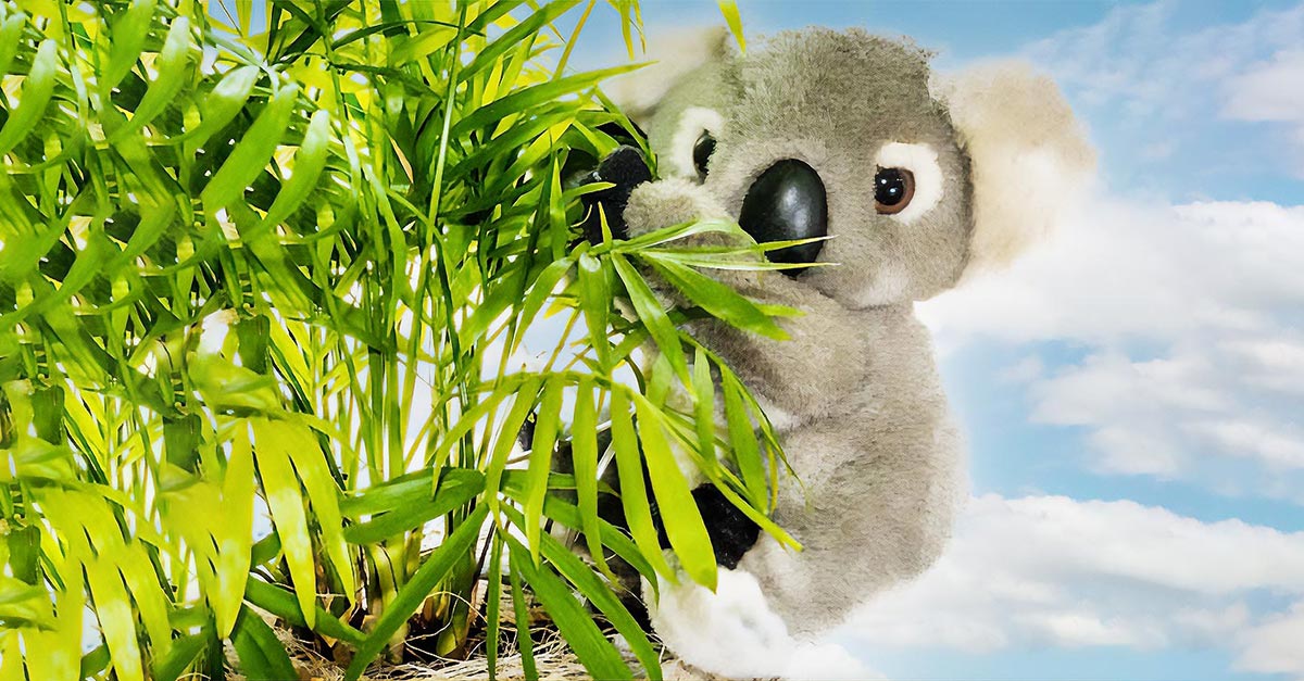 Umarme-einen-Australier-Tag - Hug an Australian Day USA - 26. April