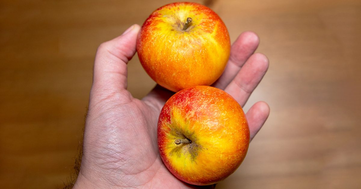 Verschenk-einen-Apfel-Tag - Apple Gifting Day in den USA - 1. Januar