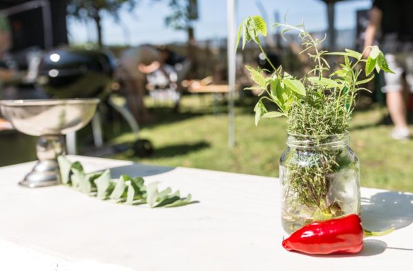 Tag der Kräuter - National Herb Day USA 2025