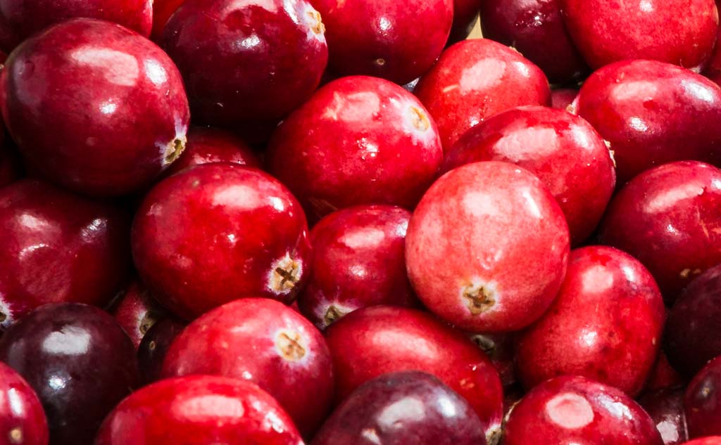 Iss-eine-Cranberry-Tag – National Eat a Cranberry Day USA - 23. November
