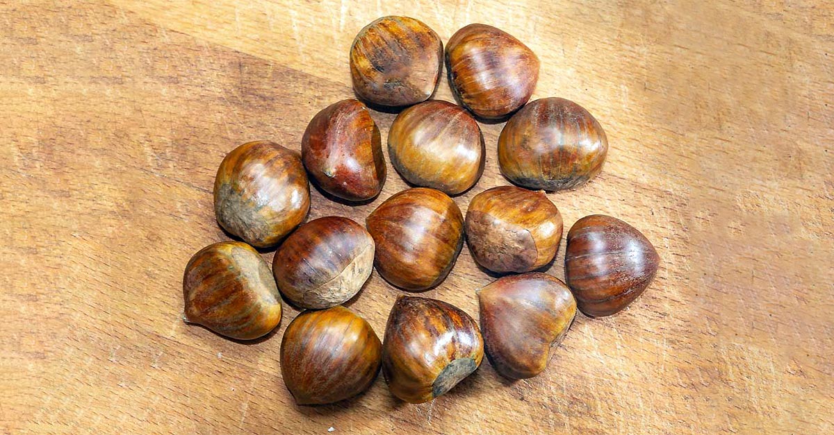 Tag der heißen Maronen - Roast Chestnuts Day USA - 14. Dezember