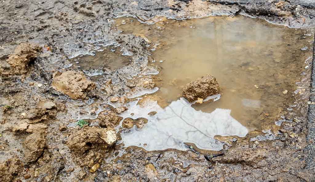 Internationaler Matsch-Tag – International Mud Day - 29. Juni 2025