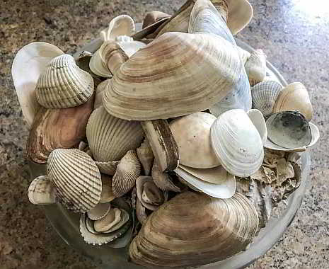 "real estate deutsch" - www.kuriose-feiertage.de