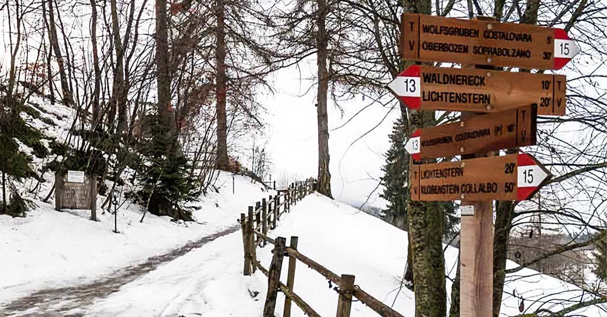 World Snow Day ️ Internationaler Schnee-Tag - 2025