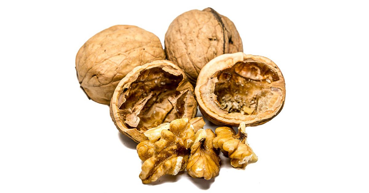 Tag der doofen Nuss in Deutschland - 10. Februar 2025