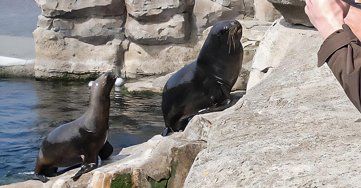 Mach-einen-Zoobesuch-Tag - National Visit the Zoo Day - 27. Dezember