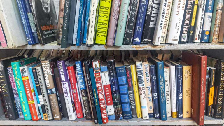 Putze-Dein-Bücherregal-Tag - Clean Out Your Bookcase Day - 20. Februar