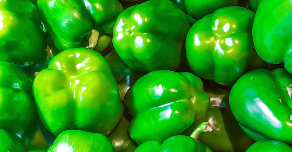 Tag der grünen Paprika - National Green Peppers Day USA - 6. August