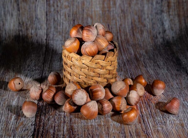 Nutting Day – Tag des Nüssesammelns in Großbritannien - 14. September