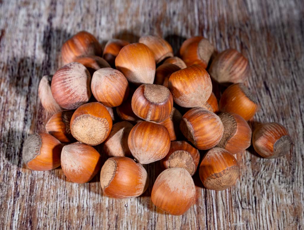 Nutting Day – Tag des Nüssesammelns in Großbritannien - 14. September