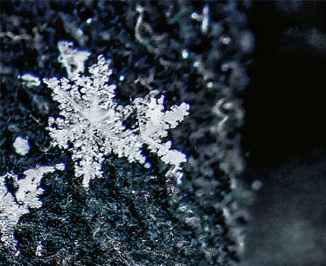 "2021" - www.kuriose-feiertage.de