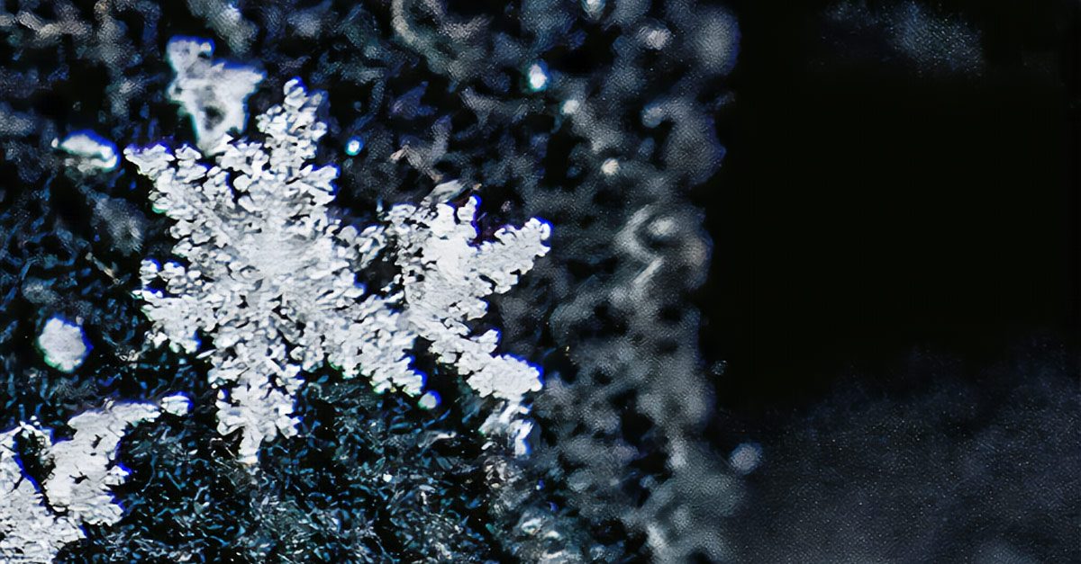 Ehrentag der Schneeflocke - Flake Appreciation Day in den USA