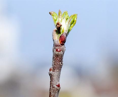 "2. oktober gedenktag" - www.kuriose-feiertage.de
